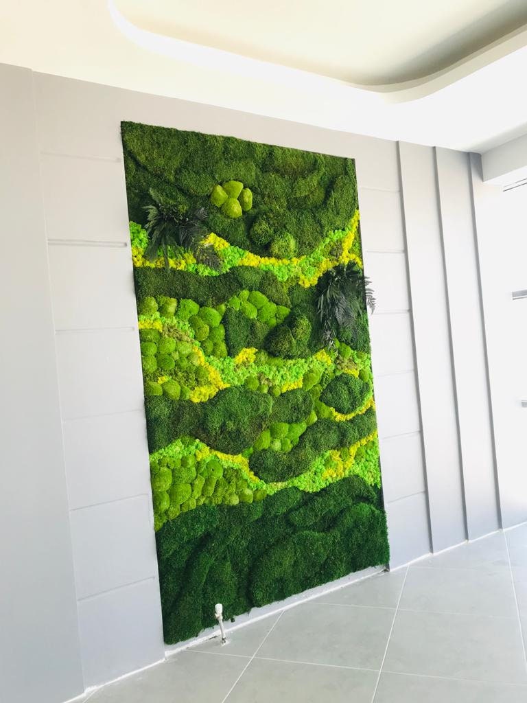 Moss Wall Art,moss Wall Decor,large Moss Frame, Wall Garden Moss ...