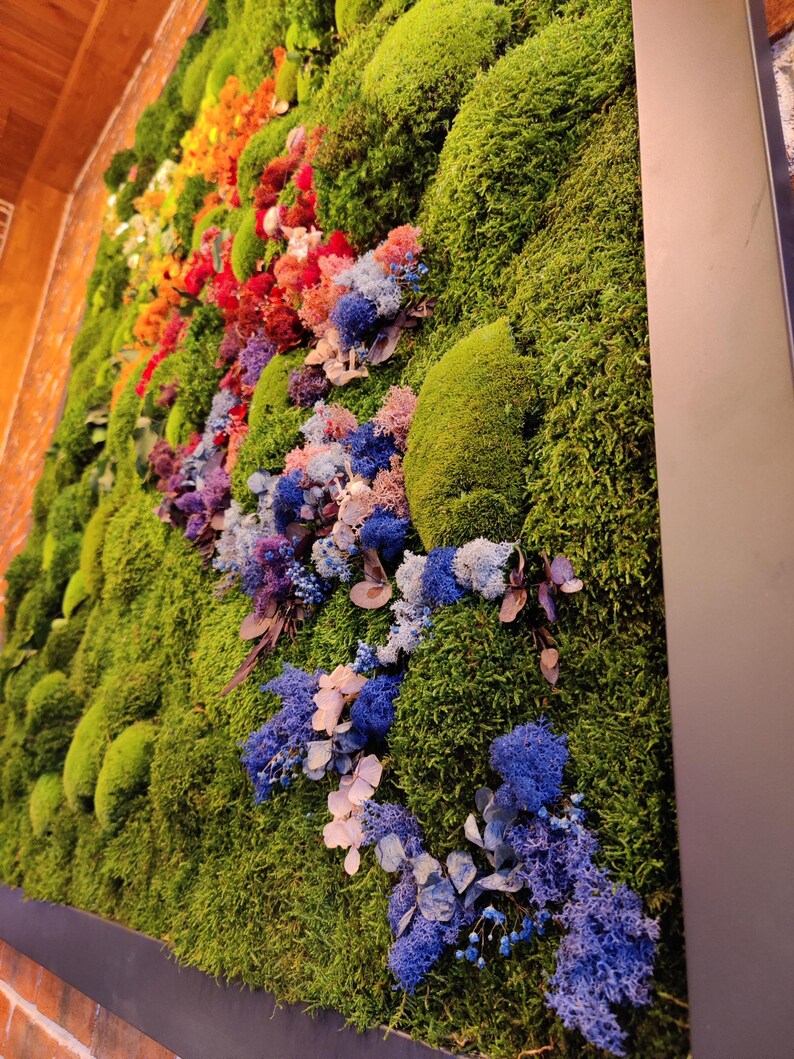 Preserved Moss Wall Art | Rainbow Gradient Botanical Decor | Eco ...