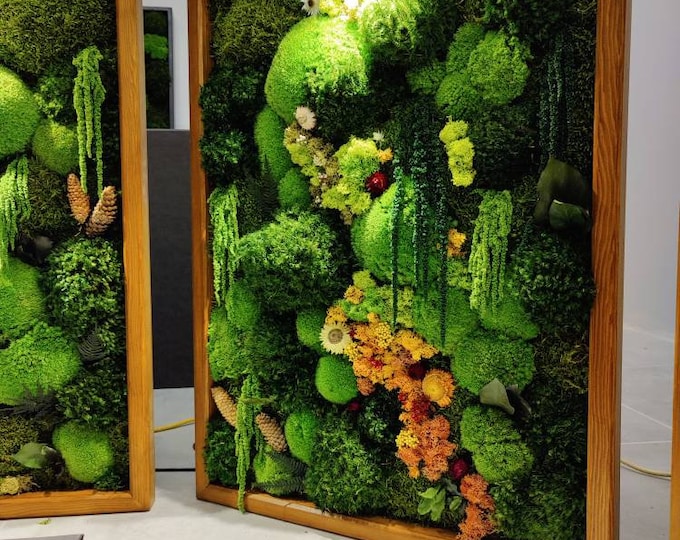 Gorgeous Moss Wall Art Greenery With LED Lights Live Moss LED Artwork ...