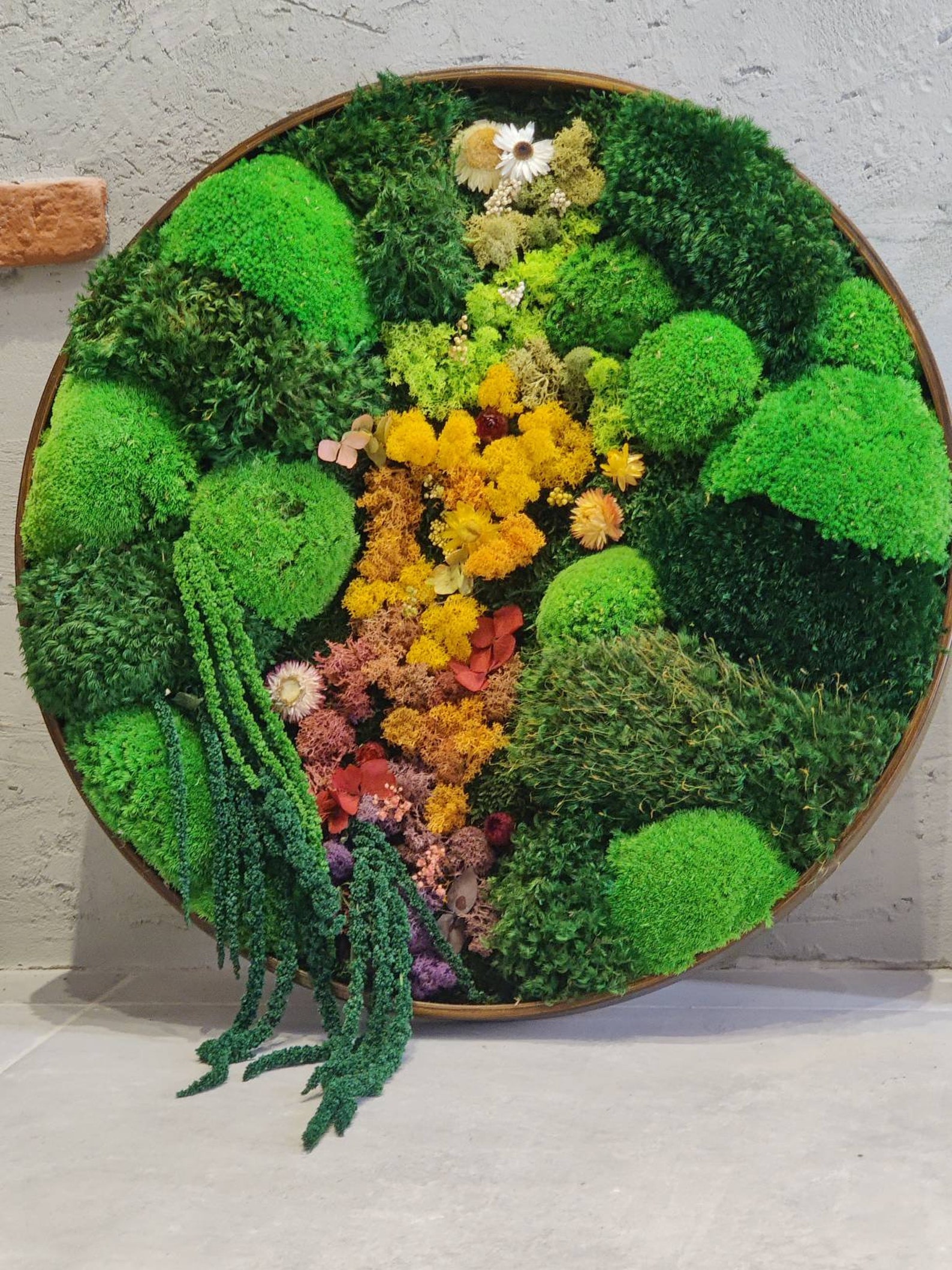 Moss Wall Art/circle Frame / Living Moss Wall Art/ Circle Moss | Etsy