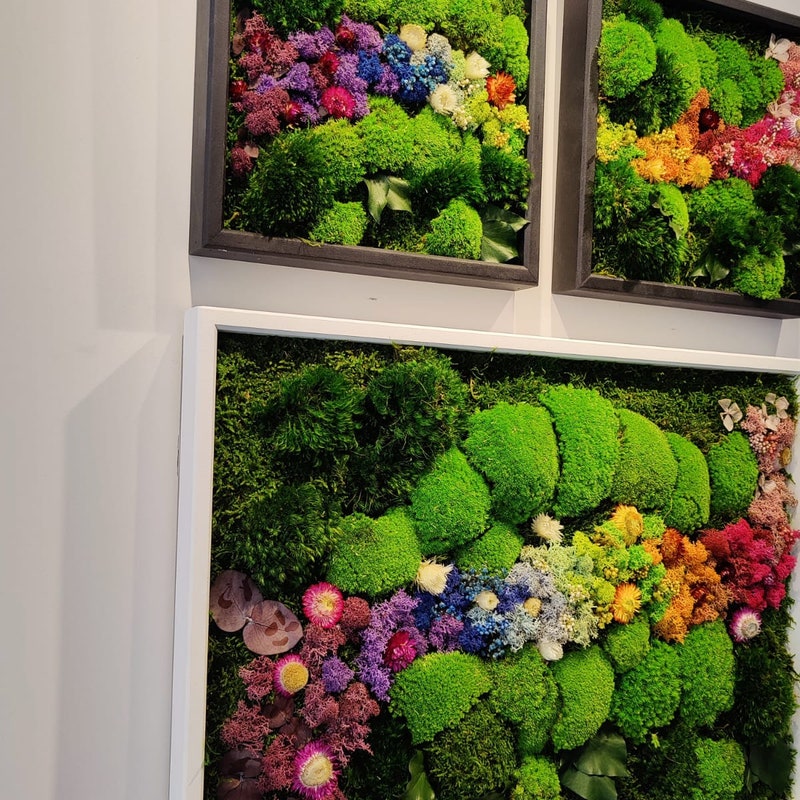 Biophilic Art - Etsy