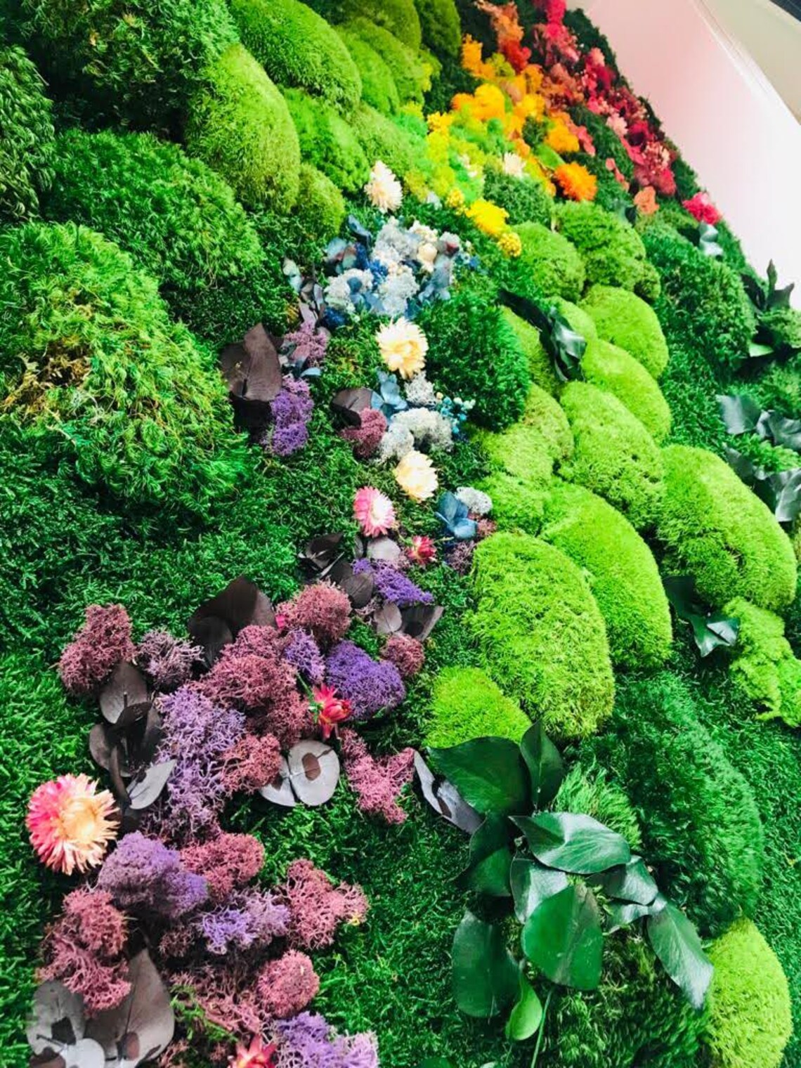 Preserved Moss Wall Art | Rainbow Gradient Botanical Decor | Eco ...
