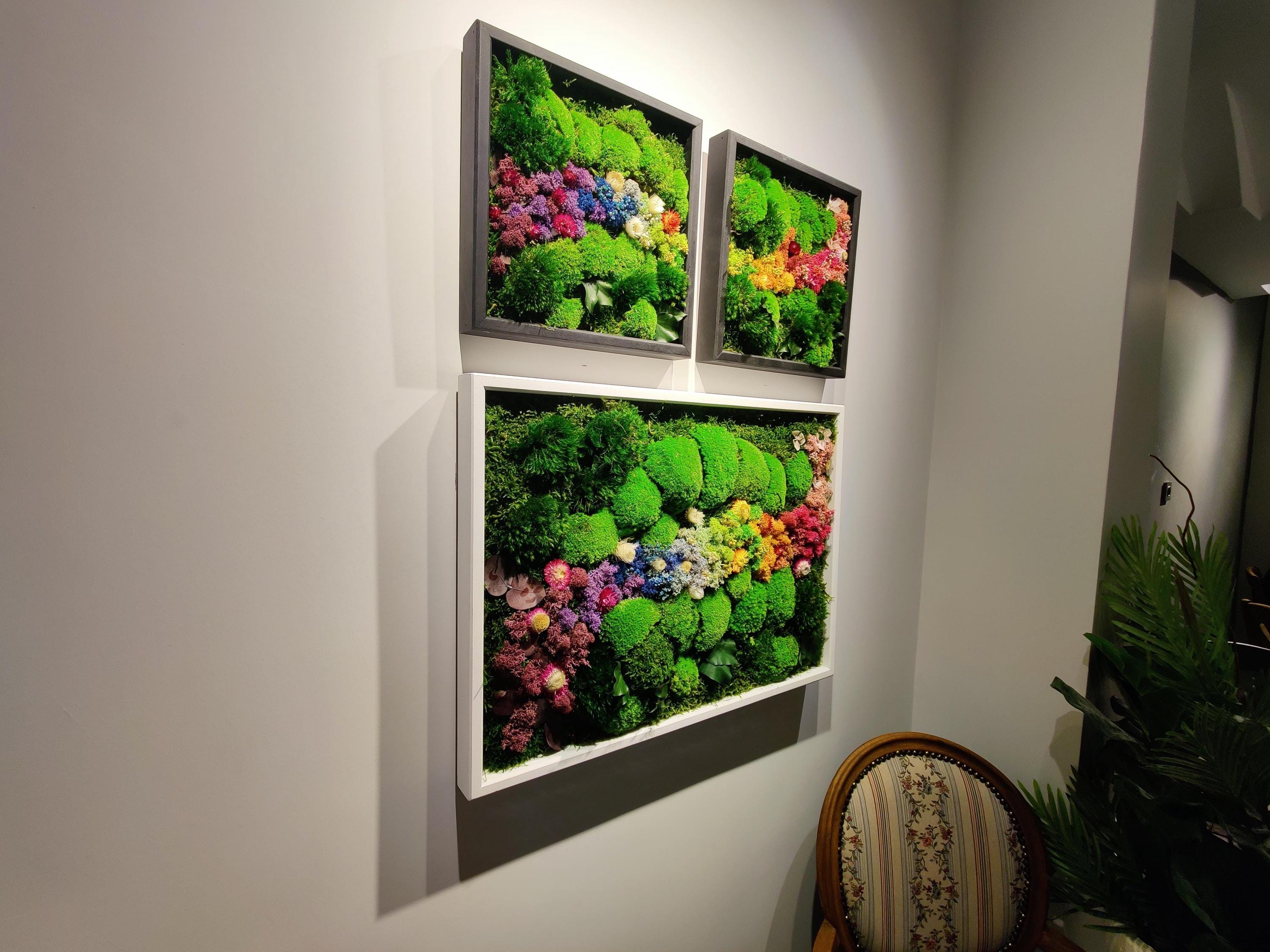 Preserved Moss Wall Art | Rainbow Gradient Botanical Decor | Eco ...