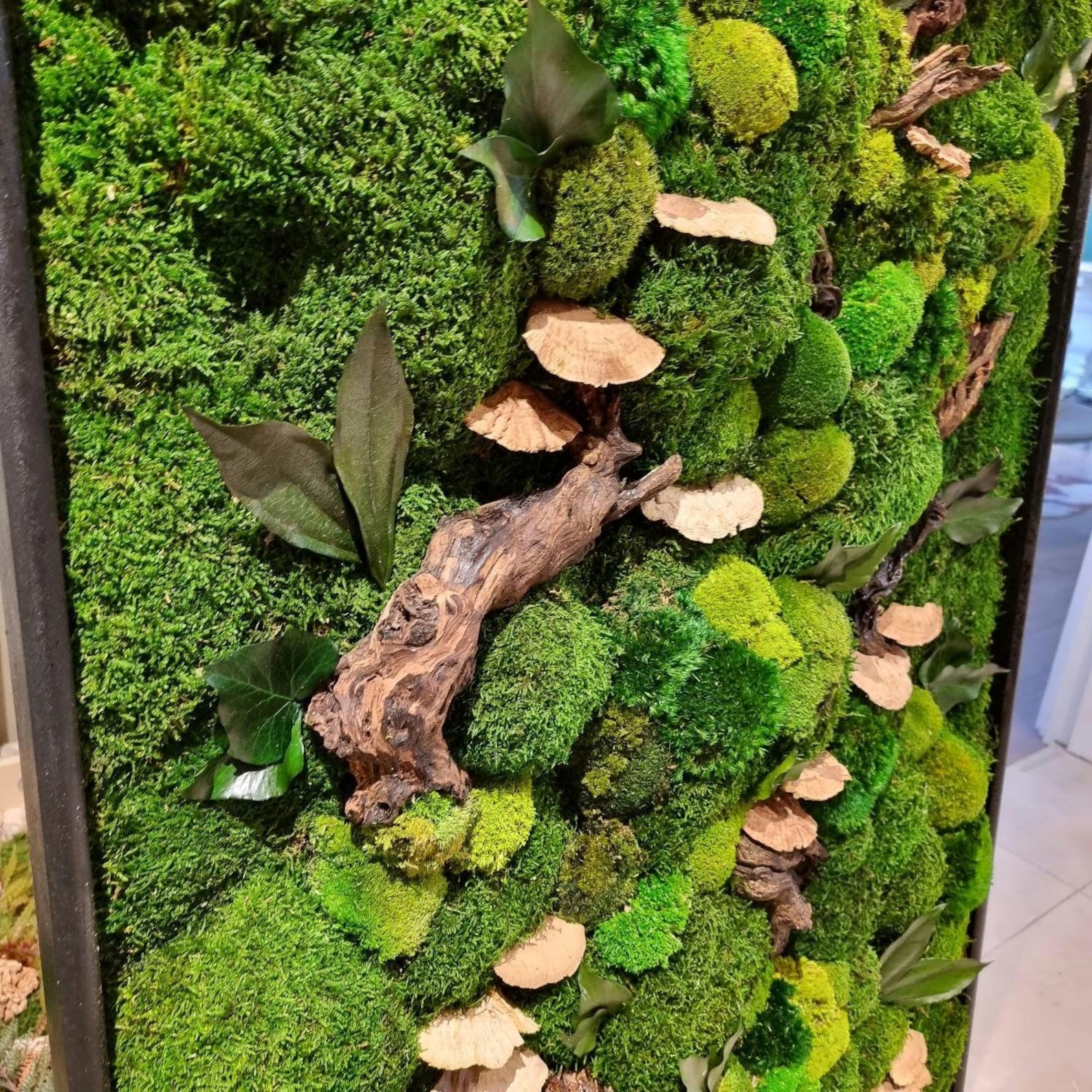 Preserved Moss Wall Art: Handmade Natural Wood Botanical Decor - Etsy