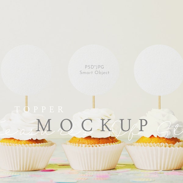 Blank Circle Cupcake Toppers - Etsy
