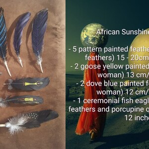 African Sunshine Feather Collection - Etsy