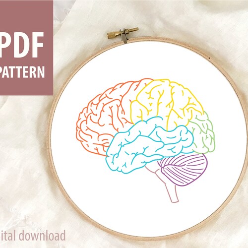 DIY Brain Embroidery Pattern Brain Anatomy Embroidery | Etsy