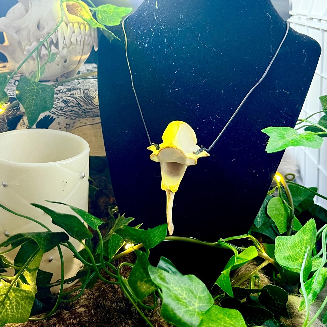 DEER VERTEBRAE NECKLACE | Bone Jewelry, Gothic Necklaces - Etsy