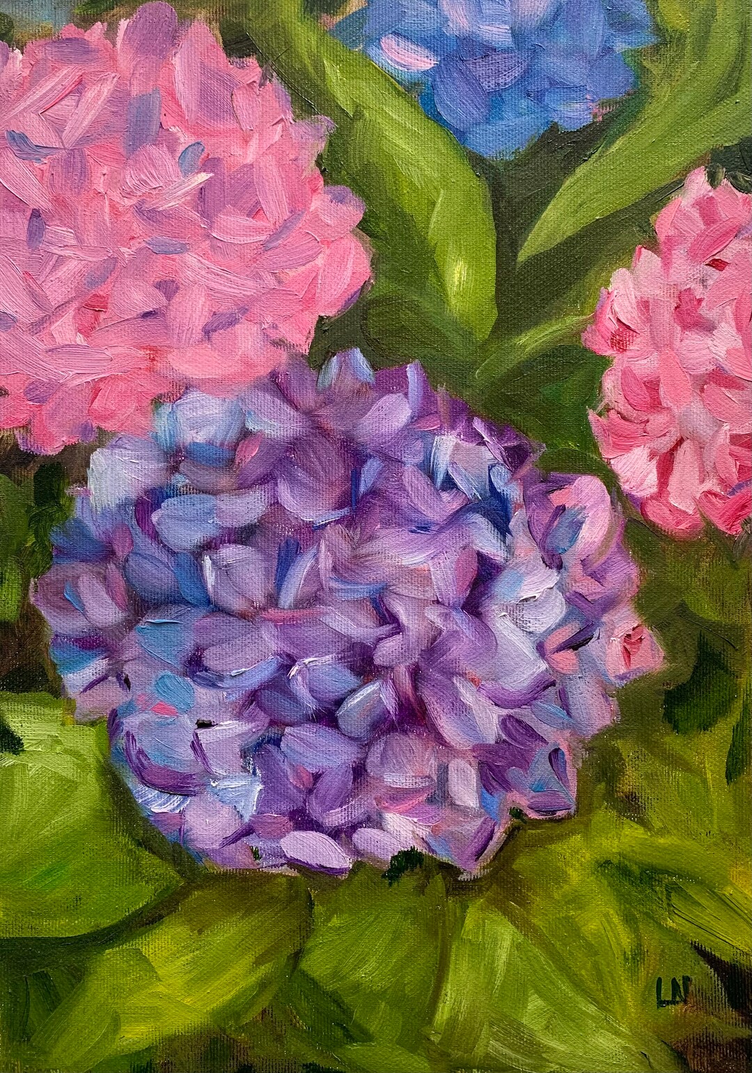 Hydrangea Oil Painting on Stretched Canvas. Original Art. Best Gift ...