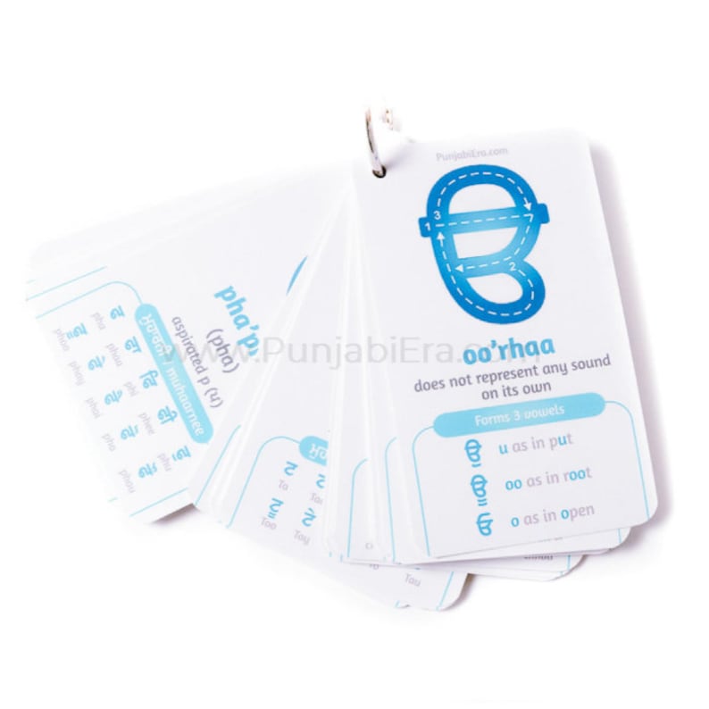 Punjabi Flashcards - Etsy