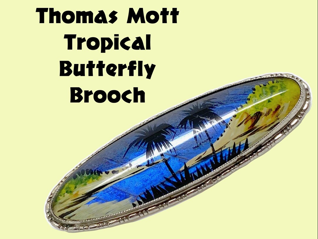 Thomas Mott Tropical Beach Palm Tree Butterfly Wing Sterling Silver ...