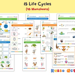 15 Life Cycles Butterfly Lifecycle Sunflower Lifecycle Frog - Etsy