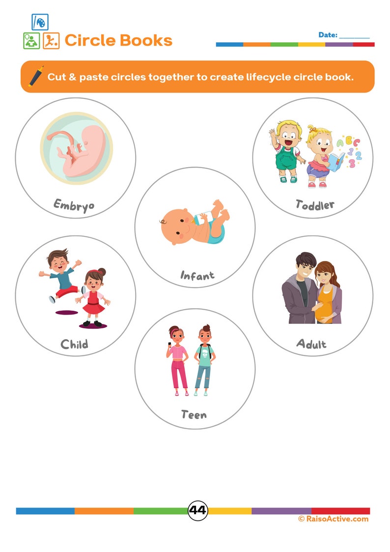 15 Life Cycles Butterfly Lifecycle Sunflower Lifecycle Frog - Etsy