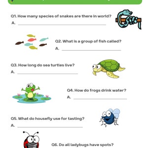 15 Life Cycles Butterfly Lifecycle Sunflower Lifecycle Frog - Etsy