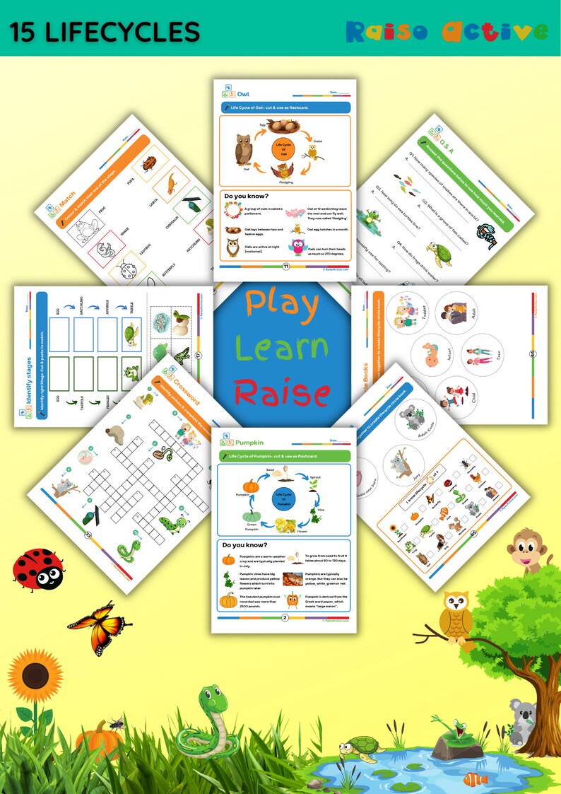 15 Life Cycles Butterfly Lifecycle Sunflower Lifecycle Frog - Etsy