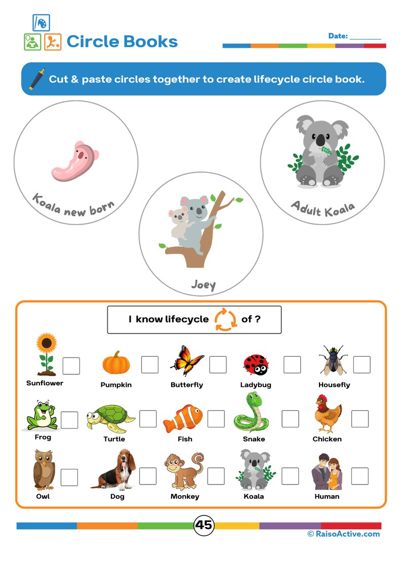 15 Life Cycles Butterfly Lifecycle Sunflower Lifecycle Frog - Etsy