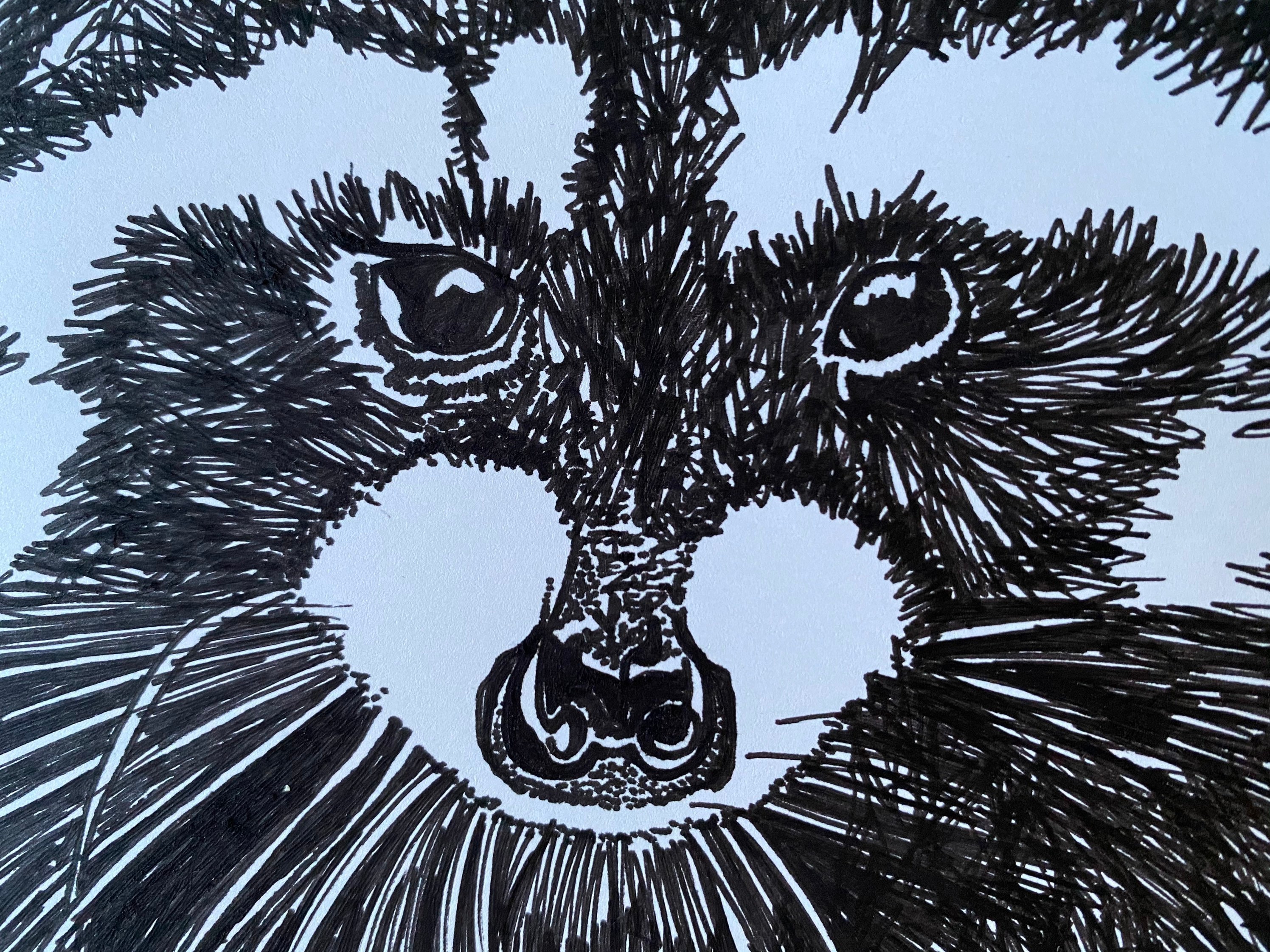 Tarjeta del saludo, tarjeta de cumpleaños, tarjeta de la ocesión ...