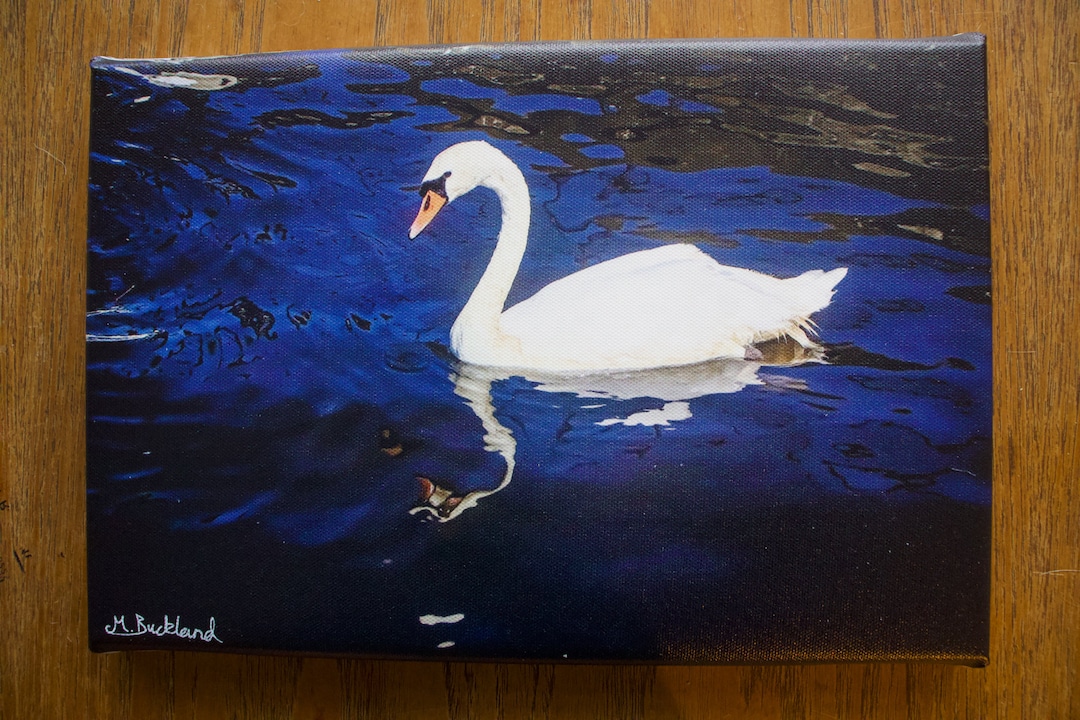 Swan Rectangle Canvas - Etsy