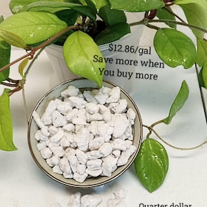 Premium Chunky Perlite No. #4 Extra Course Sifted, Extra Large Size ...