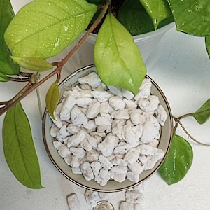 Premium Chunky Perlite No. #4 Extra Course Sifted, Extra Large Size ...