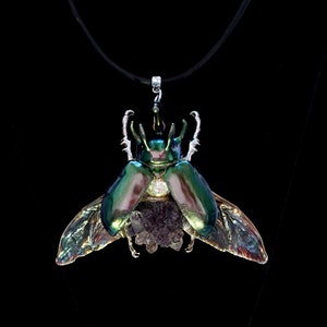 Silver Beetle Necklace / Bug Pendant / Insect Jewelry / Bug Necklace ...