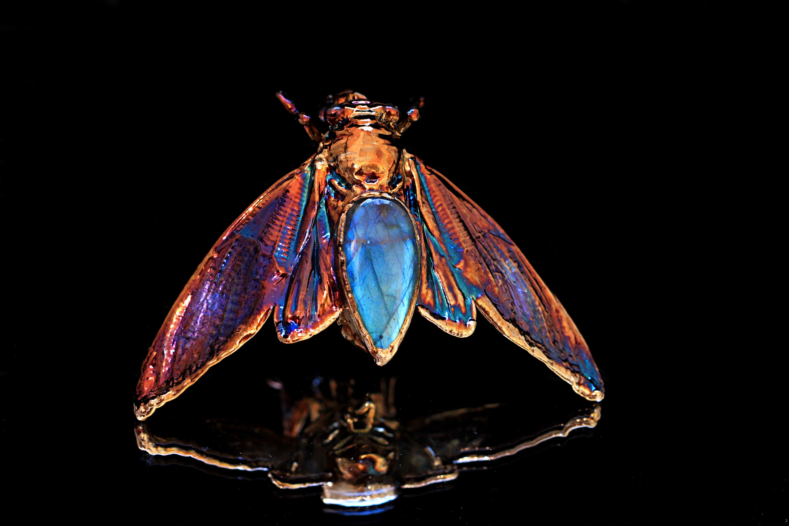 Cicada Silver Necklace Cicada Pendant Cicada With Stone - Etsy