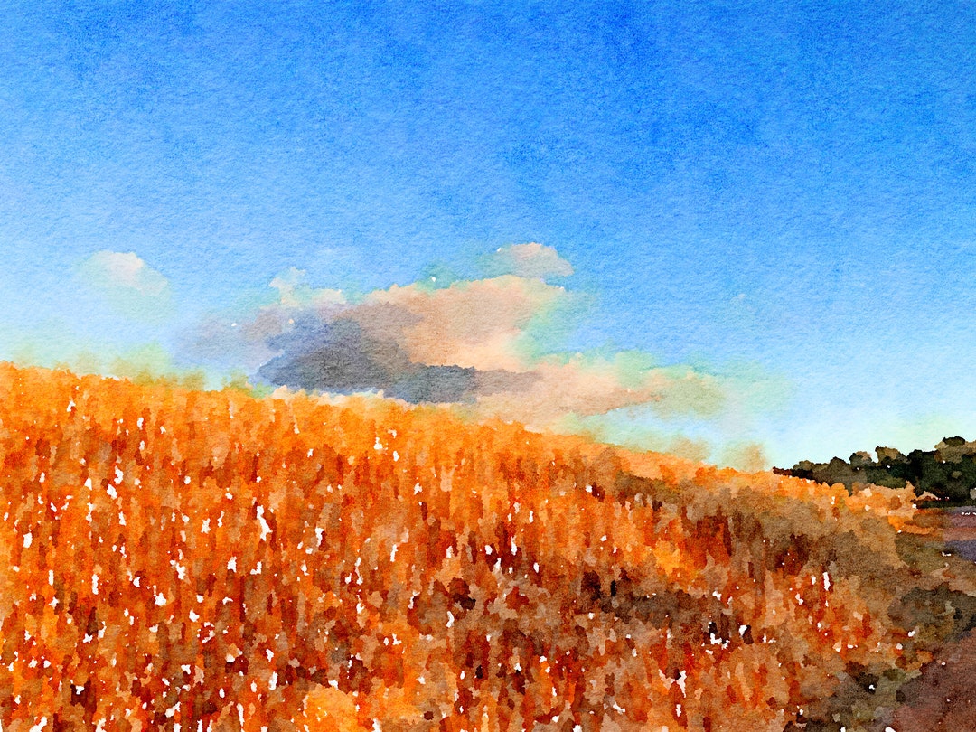 Beautiful Sky Art, Fine Art Prints, Watercolor Prints, Nature ...