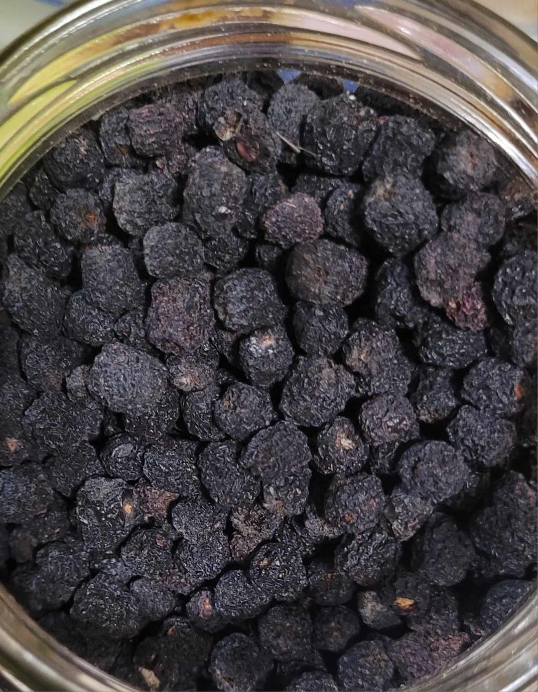 Choke Berry - Aronia Berries - Etsy