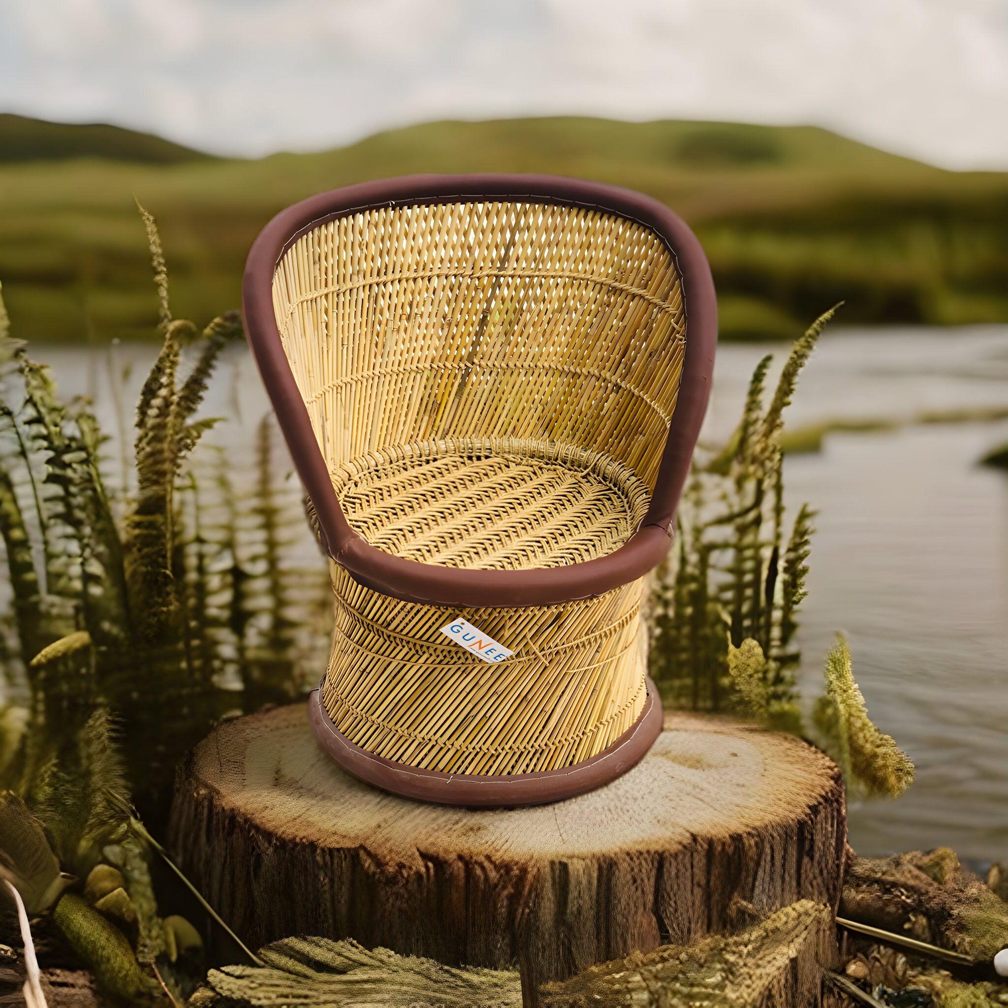 Ecofriendly Rattan Wooden Cane Chair for Indoor/outdoor- Bamboo ...