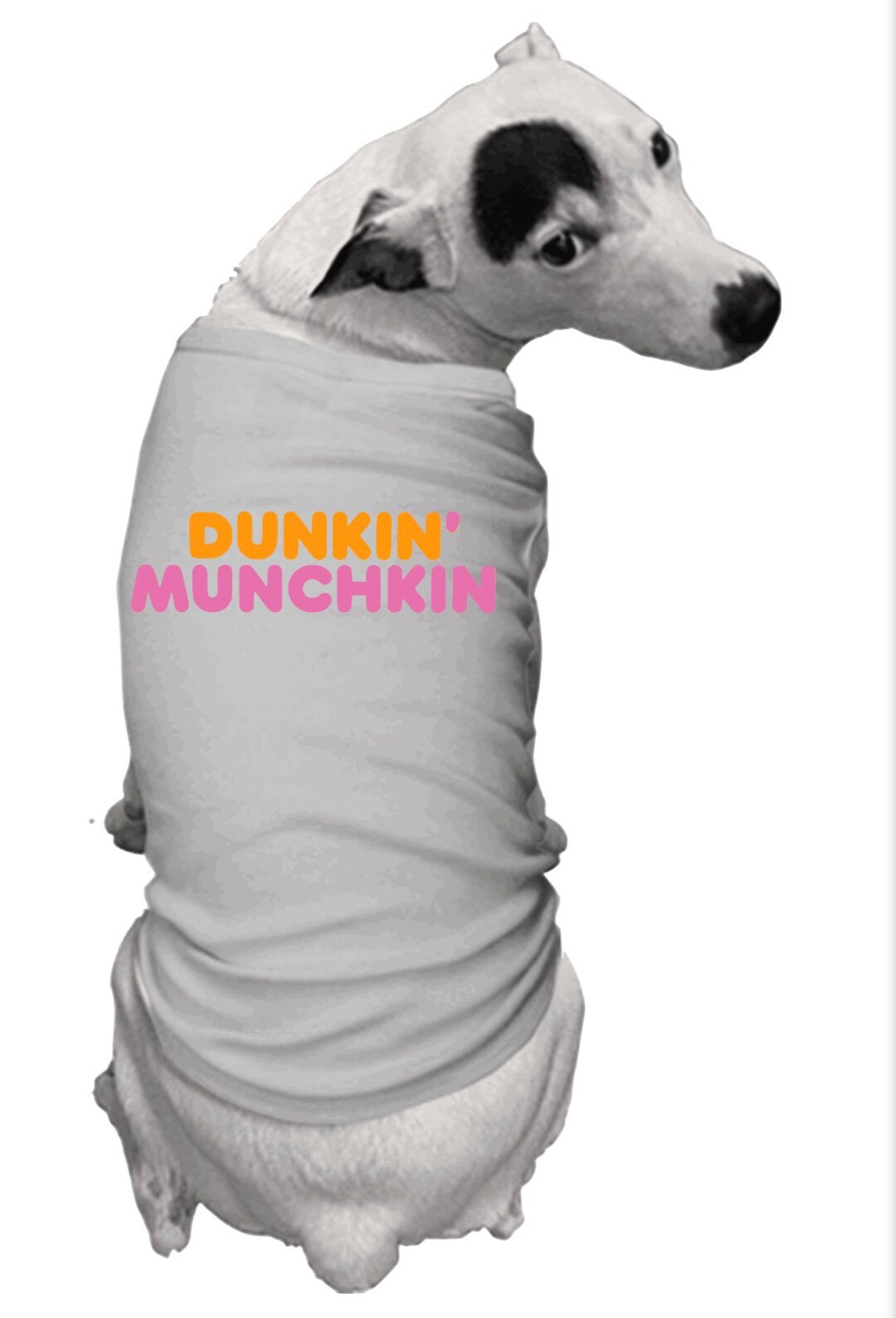 Dunkin Munchkin Dunkin Donuts Inspired Pet T-shirt for Dogs or Cats - Etsy