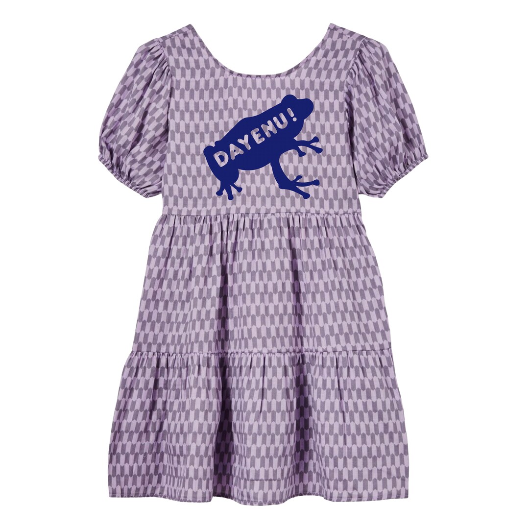 Passover Seder Dayenu Frog Dress for Girls 1 to 14 Years - Etsy