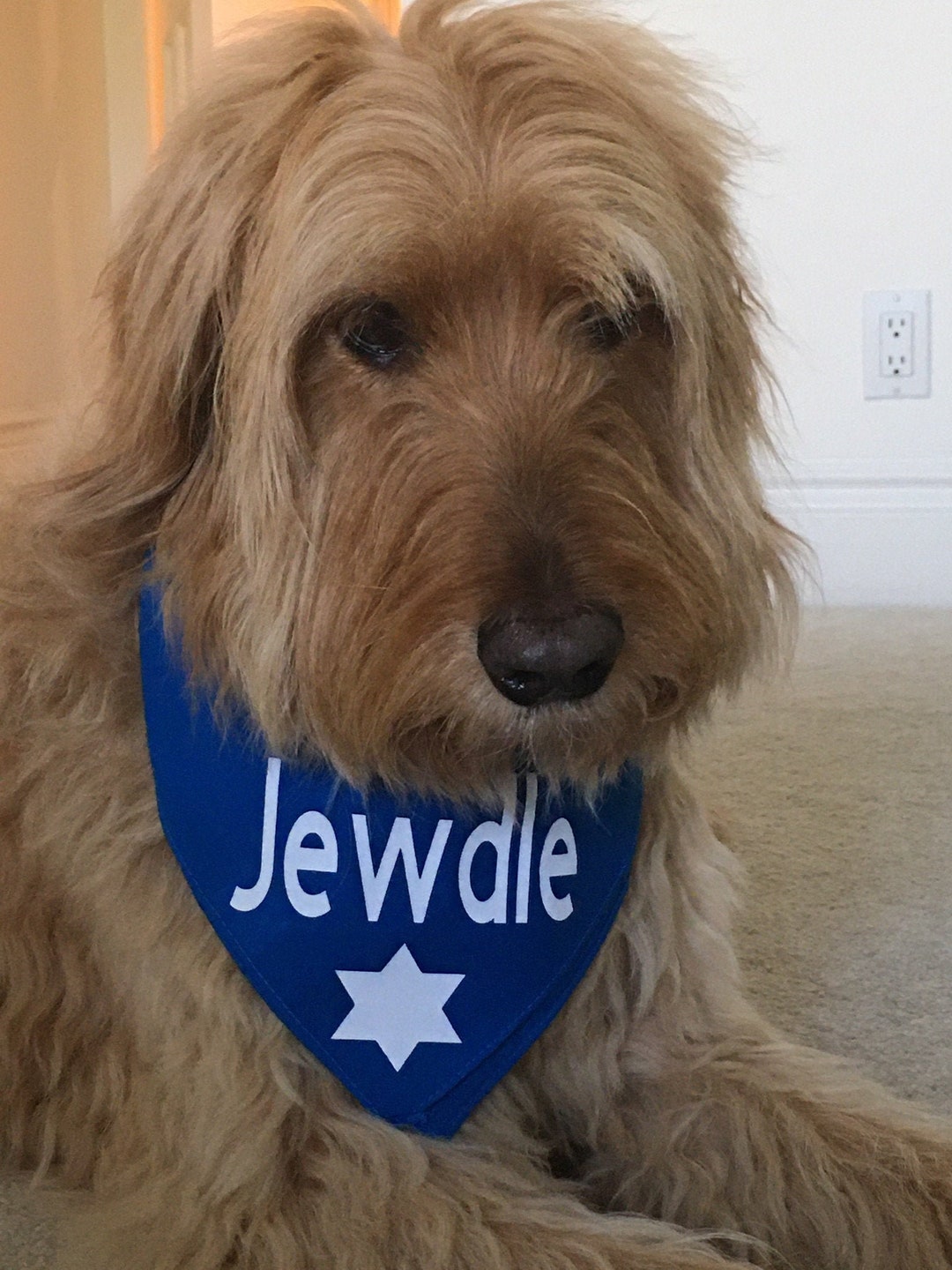 Jewdle Dog Bandana for Jewish Doodle Type Dogs - Etsy