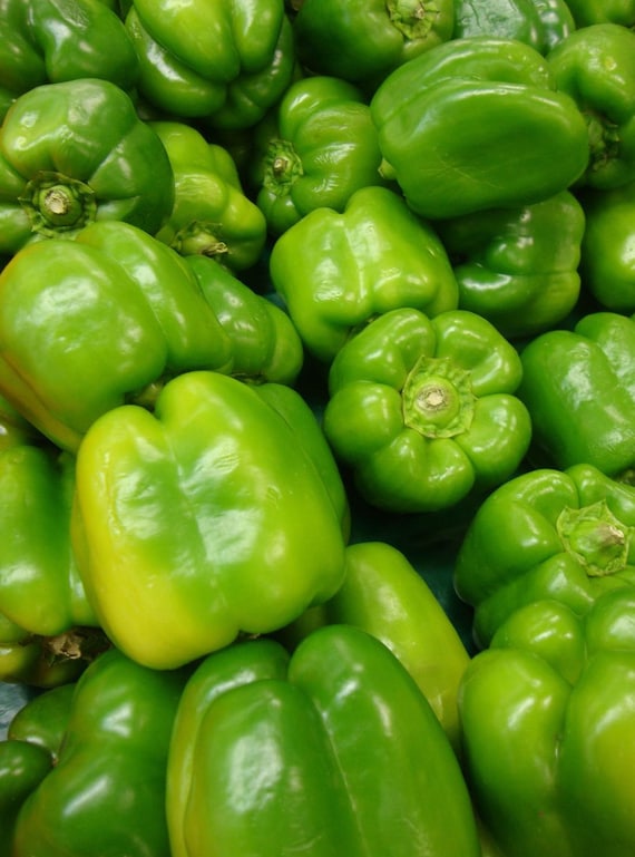 Yolo Wonder Pepper Seeds 50 Sweet Bell Vegetable Garden - Etsy