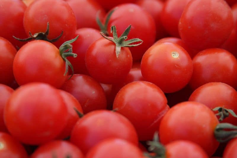 Large Red Cherry Tomato Seeds 100 Ct Vegetable HEIRLOOM NON-GMO - Etsy