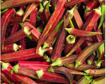 Alabama Red Okra Seeds - Etsy