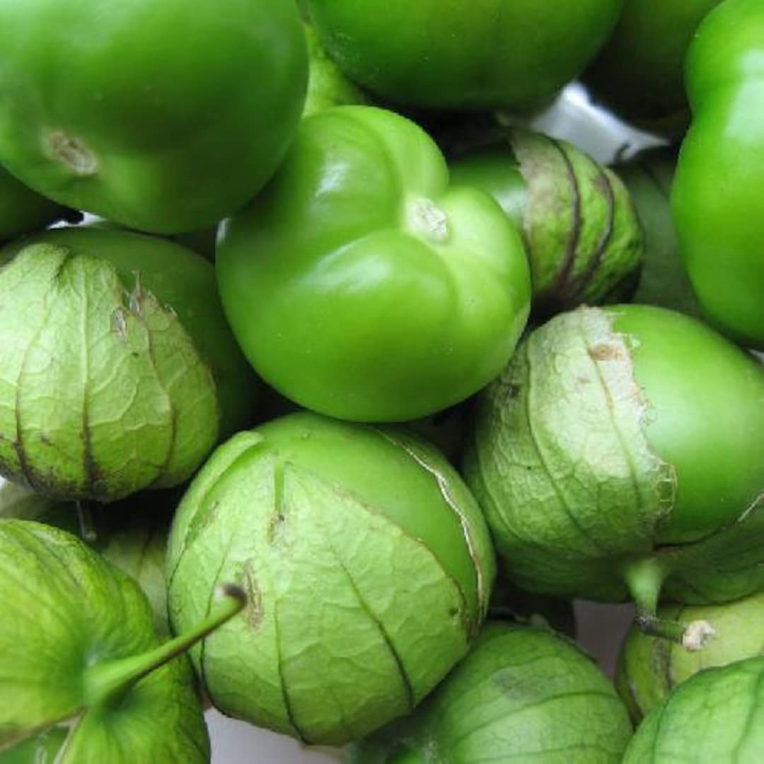 Tomatillo Verde Seeds 100 Ct Vegetable Salsa HEIRLOOM NON-GMO - Etsy