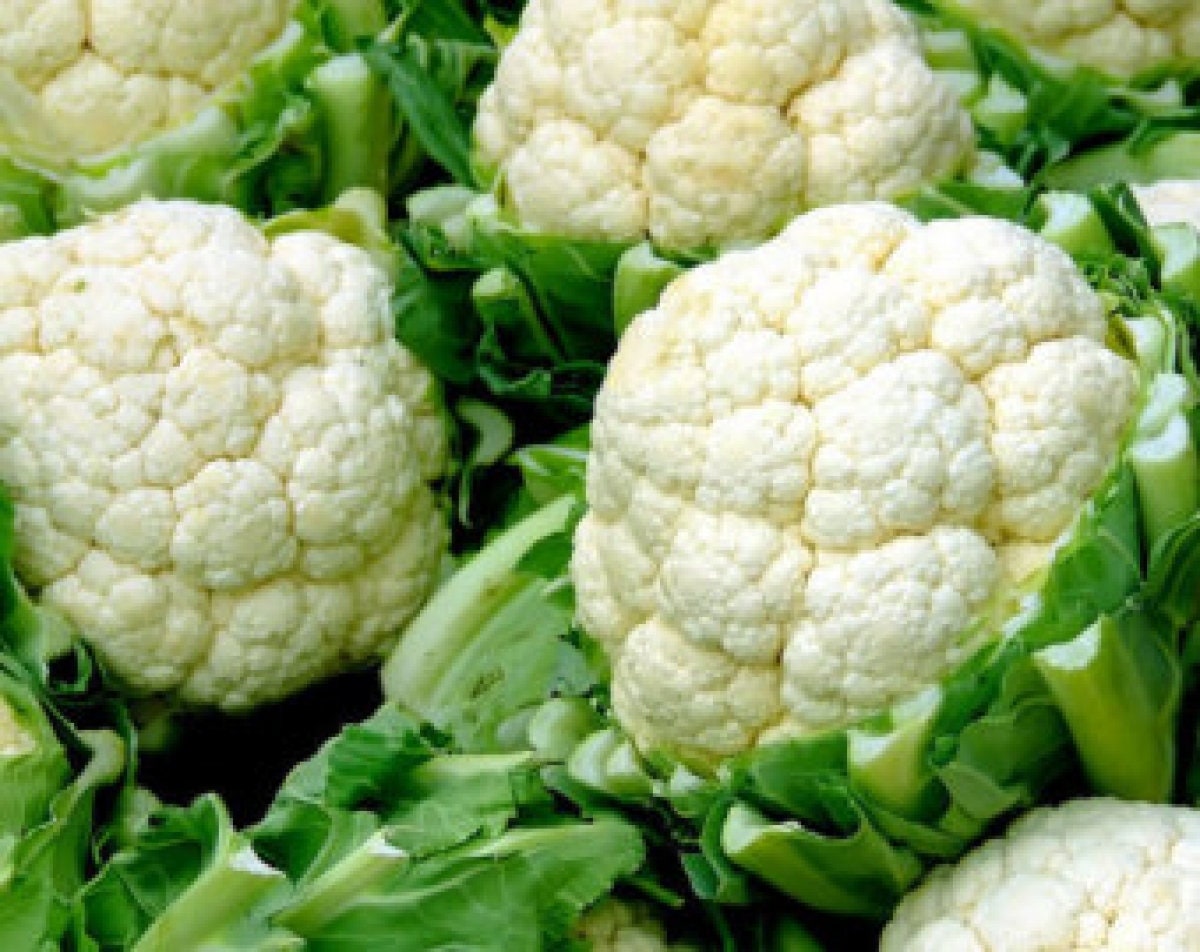 Cauliflower Snowball Y Improved Seeds 300+ Vegetable Garden Heirloom - Etsy