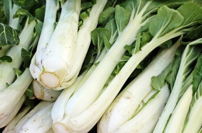 Pak Choi Seeds 300+ White Stem Cabbage Chinese NON-GMO USA - Etsy