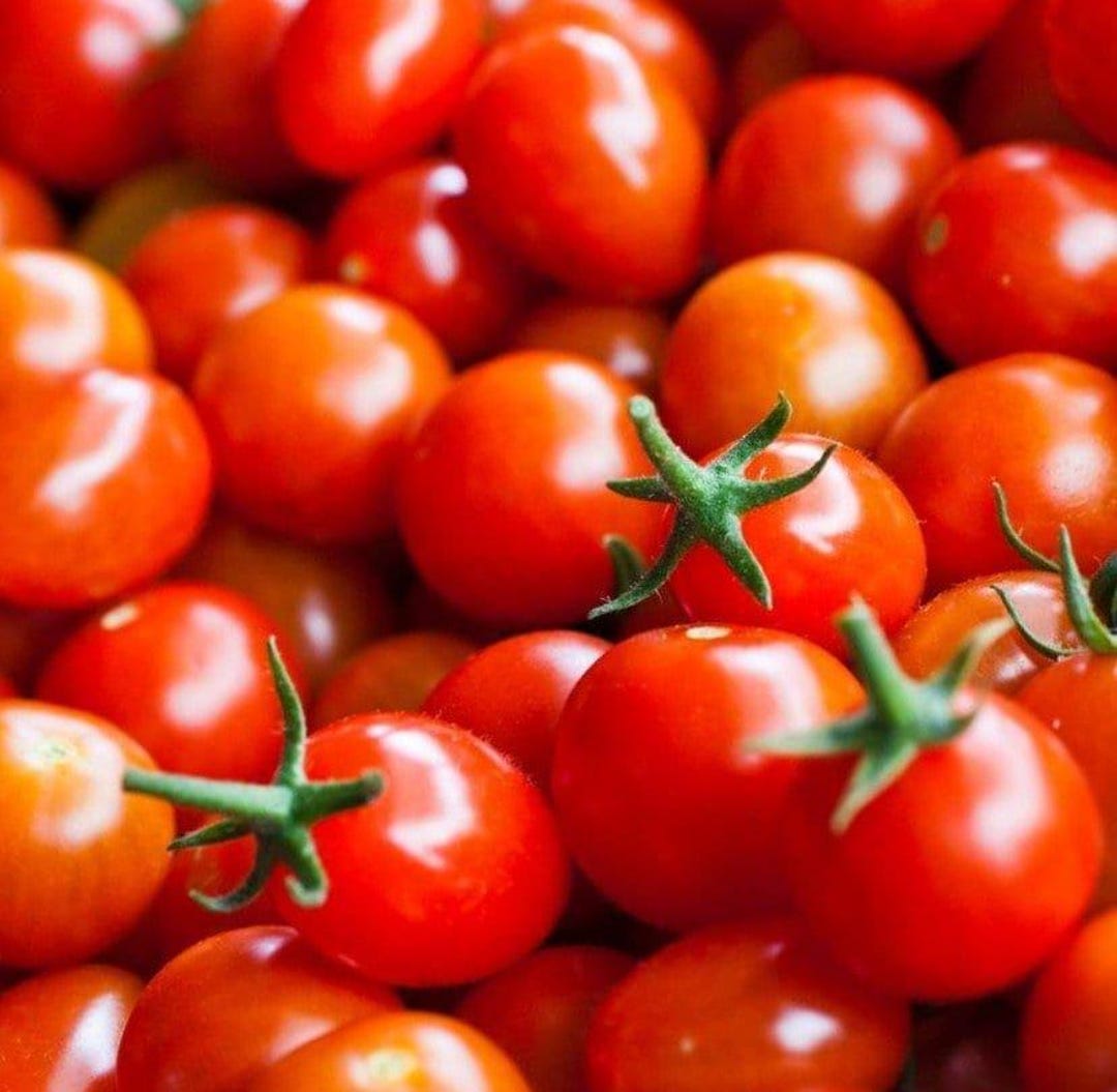 Sweetie Tomato Seeds 100 Ct Cherry Tomato Vegetable USA INDETERMINATE ...