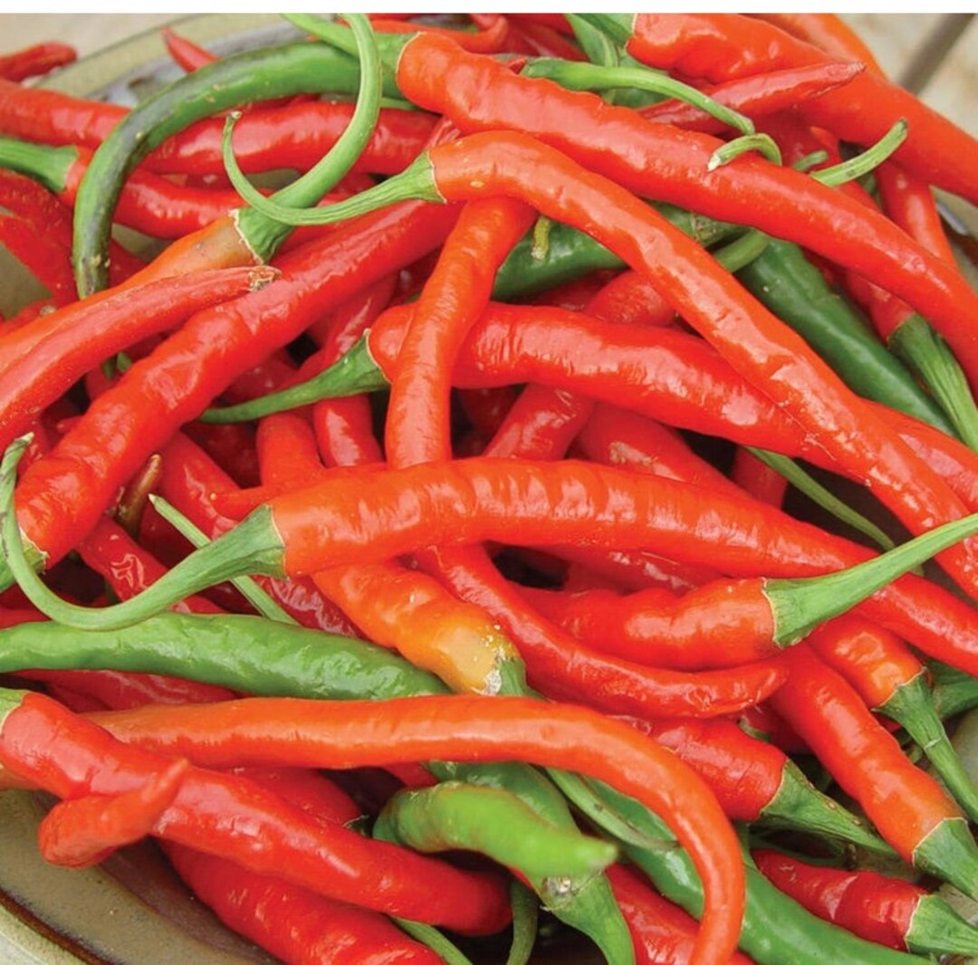 Cayenne Long Red Slim Pepper Seeds 50+ Hot Vegetable NON-GMO USA - Etsy