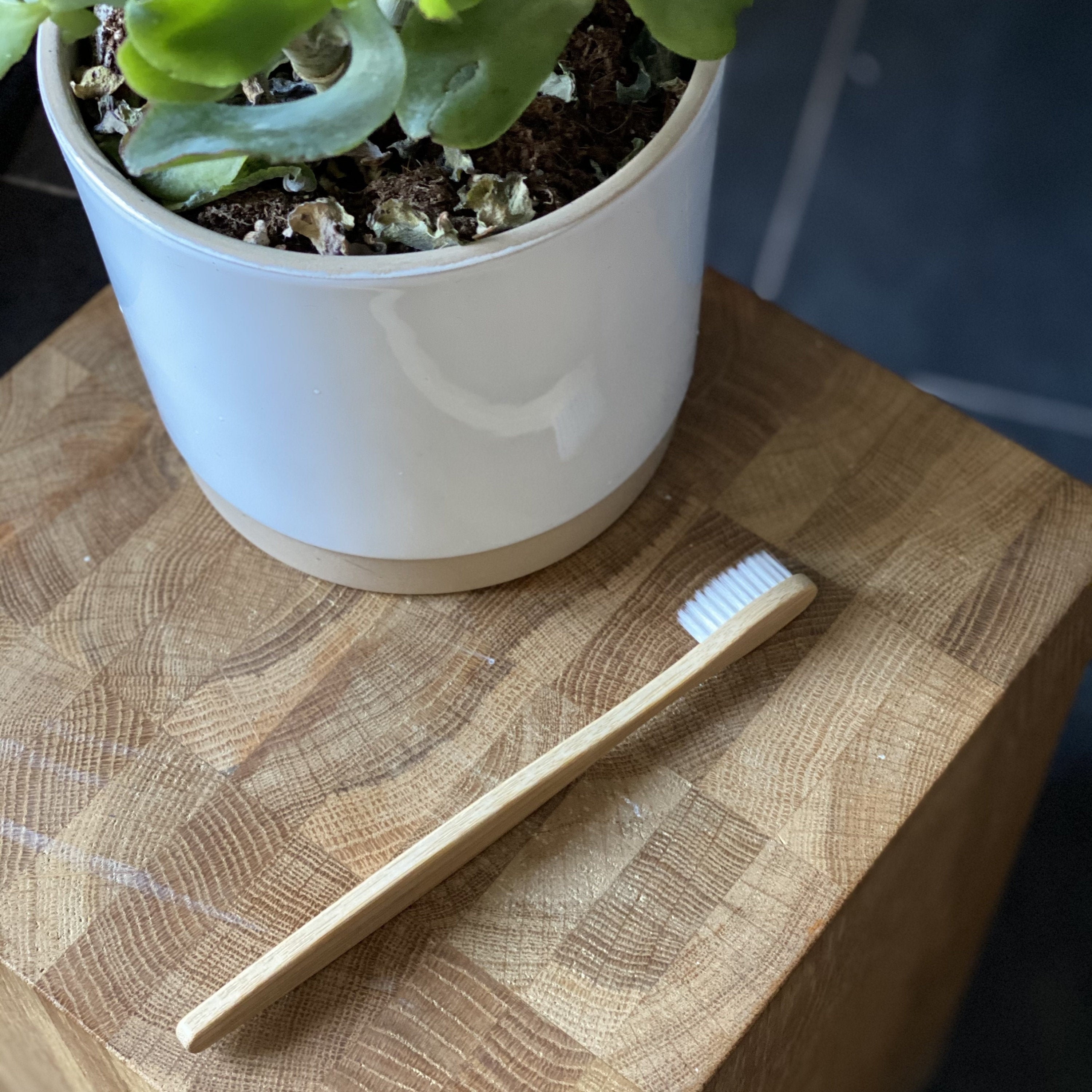 5 Reusable Bamboo Toothbrushes Eco-friendly Toothbrush - Etsy