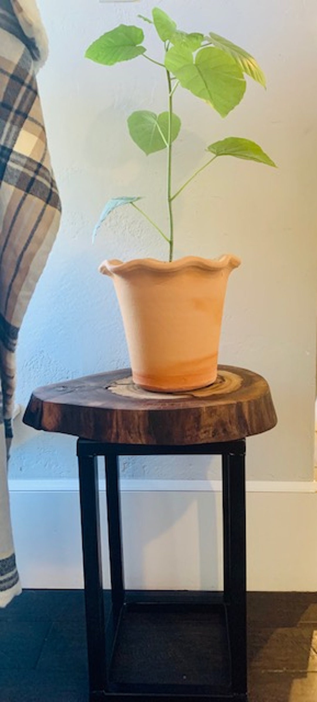 Plant Stand With Live Edge Wood Round - Etsy
