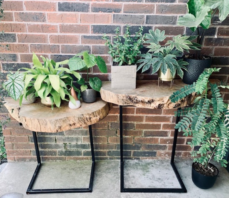Live Edge Plant Stands set of 2 - Etsy