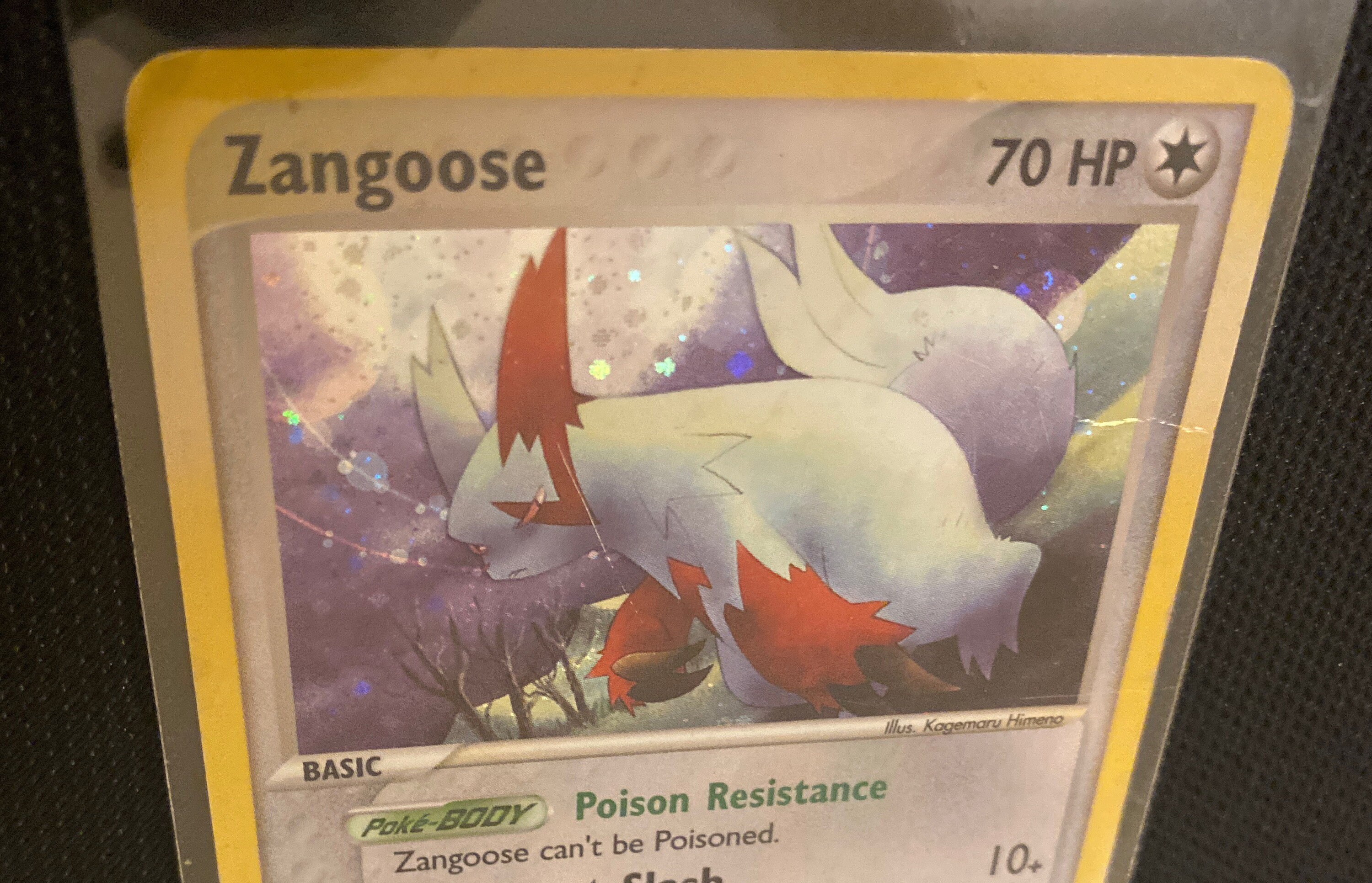 Zangoose Card