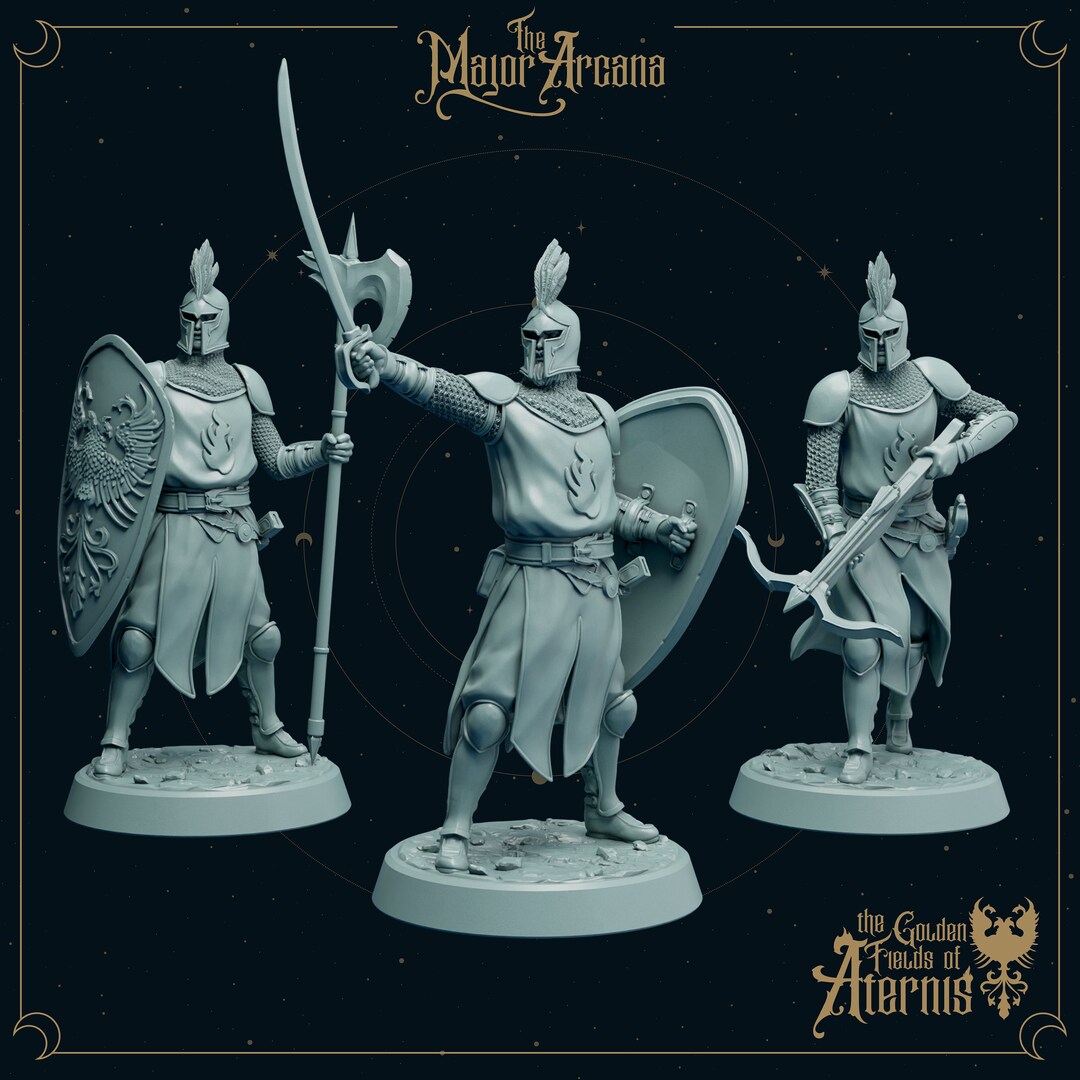Guard 8 Poses the Major Arcana Knight, Paladin, City Watch Miniature ...