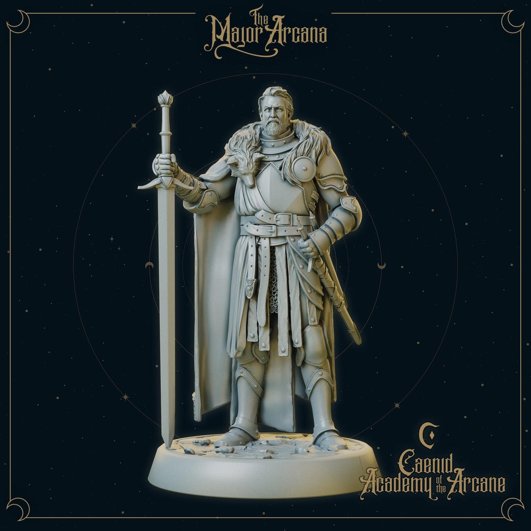 Alric the Silver Fox Human Paladin 3d-printed Miniature for D&D ...