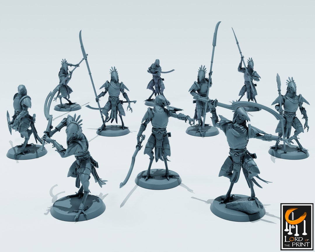 Kenku 10 Poses Lord of the Print Knight, Paladin, Rogue, NPC for D&D ...