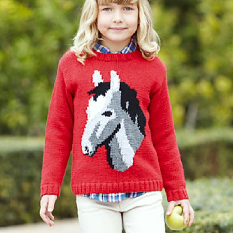 Horse Sweater Personalize - Etsy