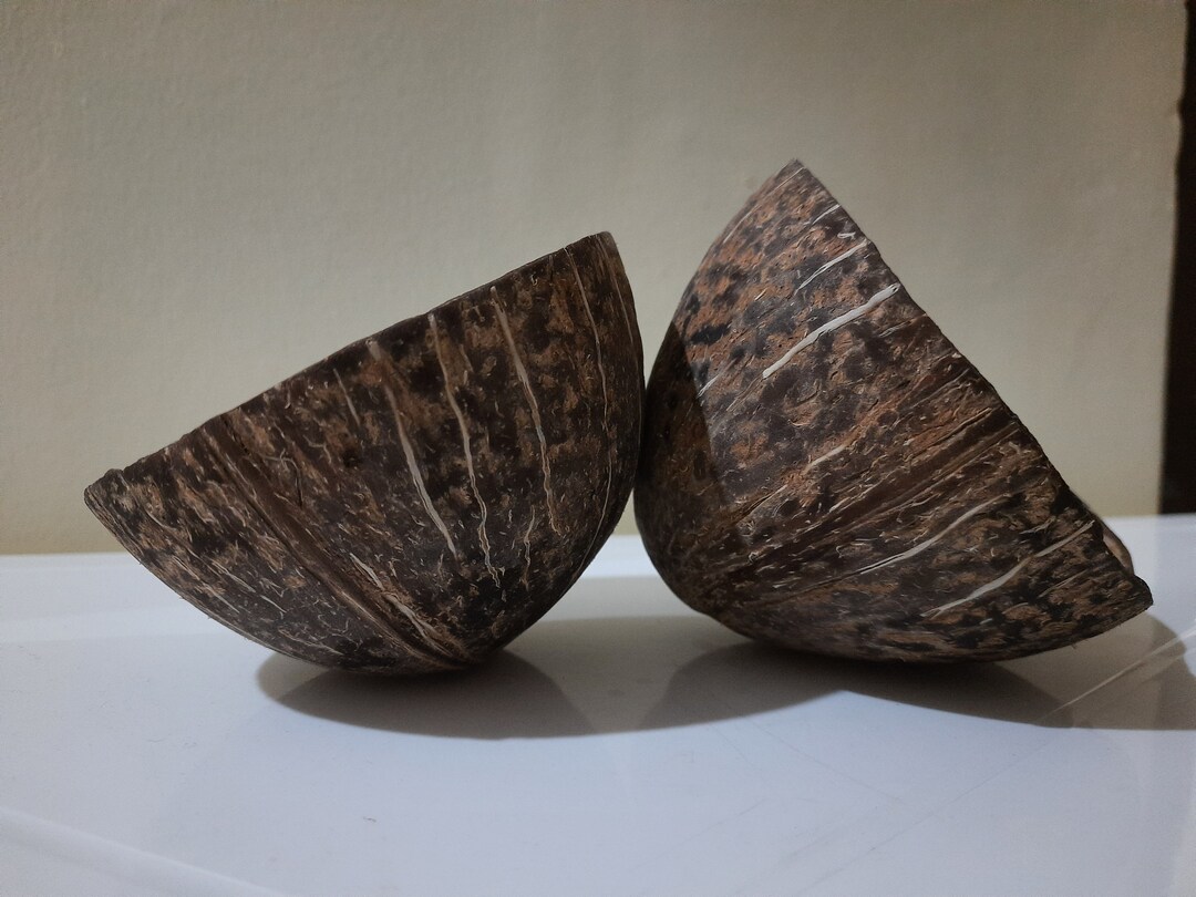 Natural Coconut Shells, DIY Coco Shell's for Bowls - Etsy