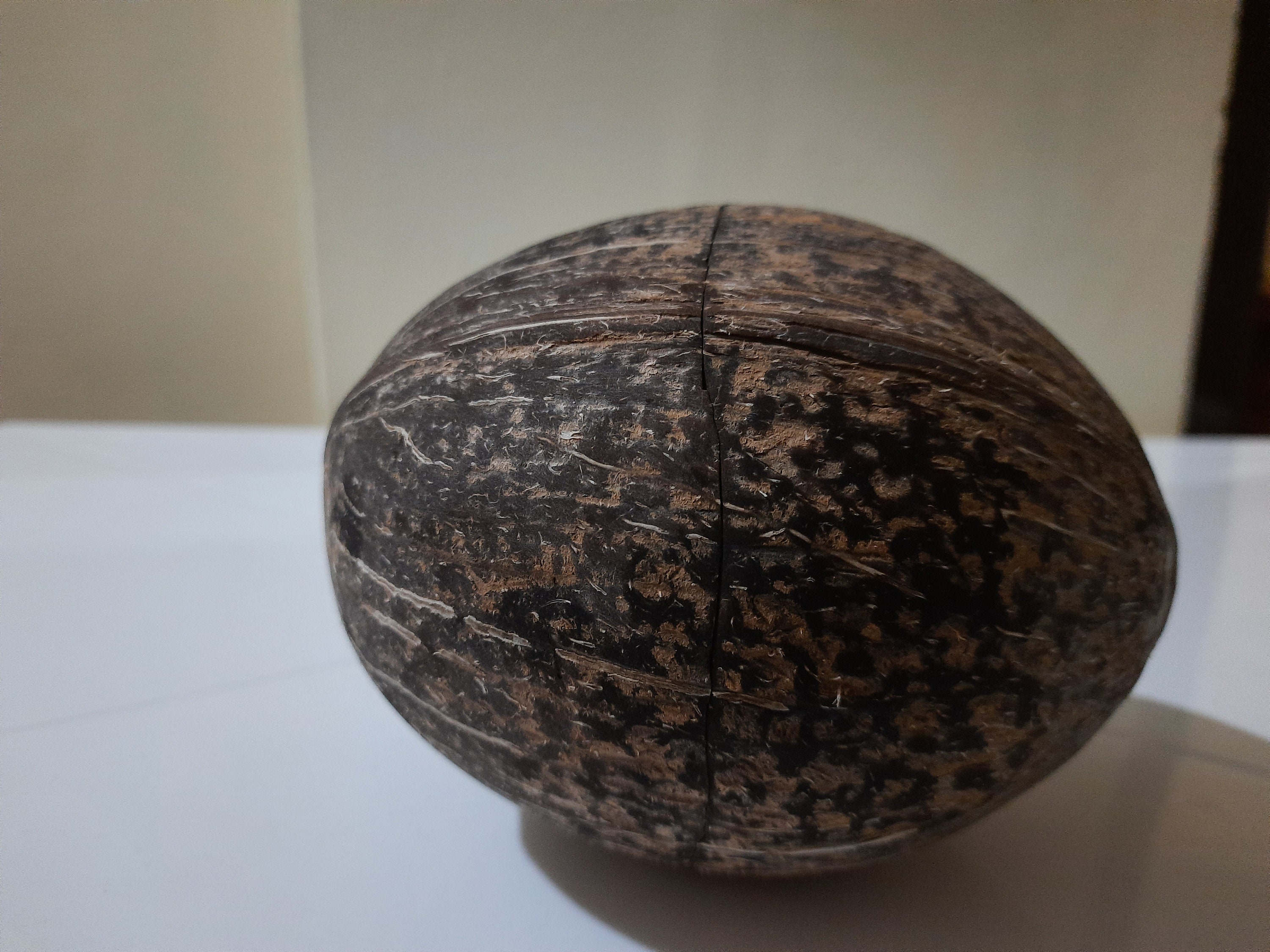 Natural Coconut Shells, DIY Coco Shell's for Bowls - Etsy